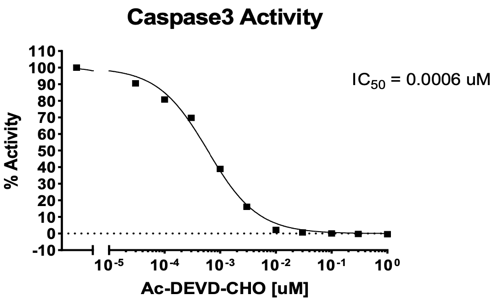 Caspase-3 Activity Assay Kit - Aurora Biolabs