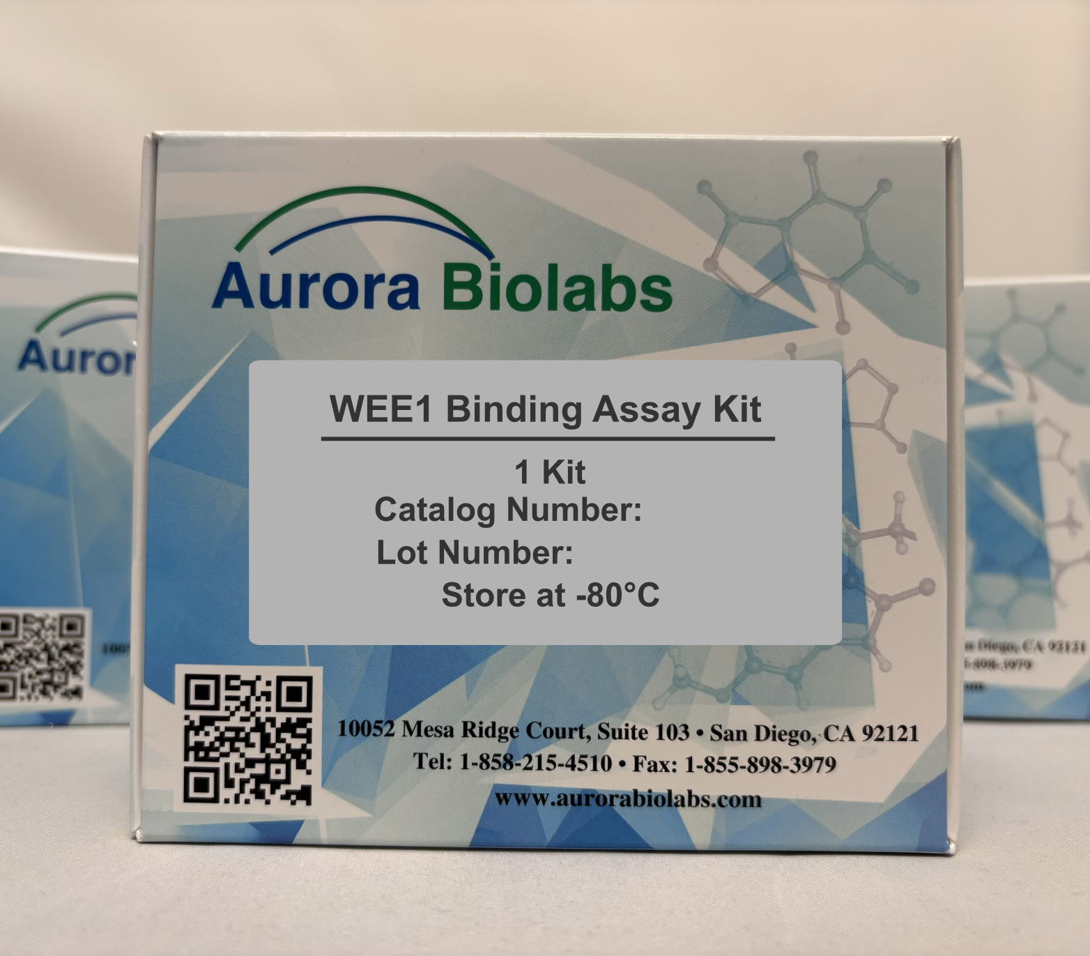 WEE1 Binding Assay Kit - Aurora Biolabs